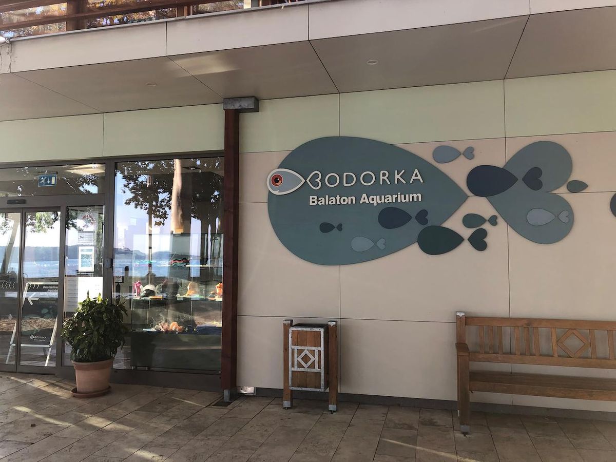 „Bodorka“ návštěvnické centrum vodního světa Balatonu – akvárium Balaton